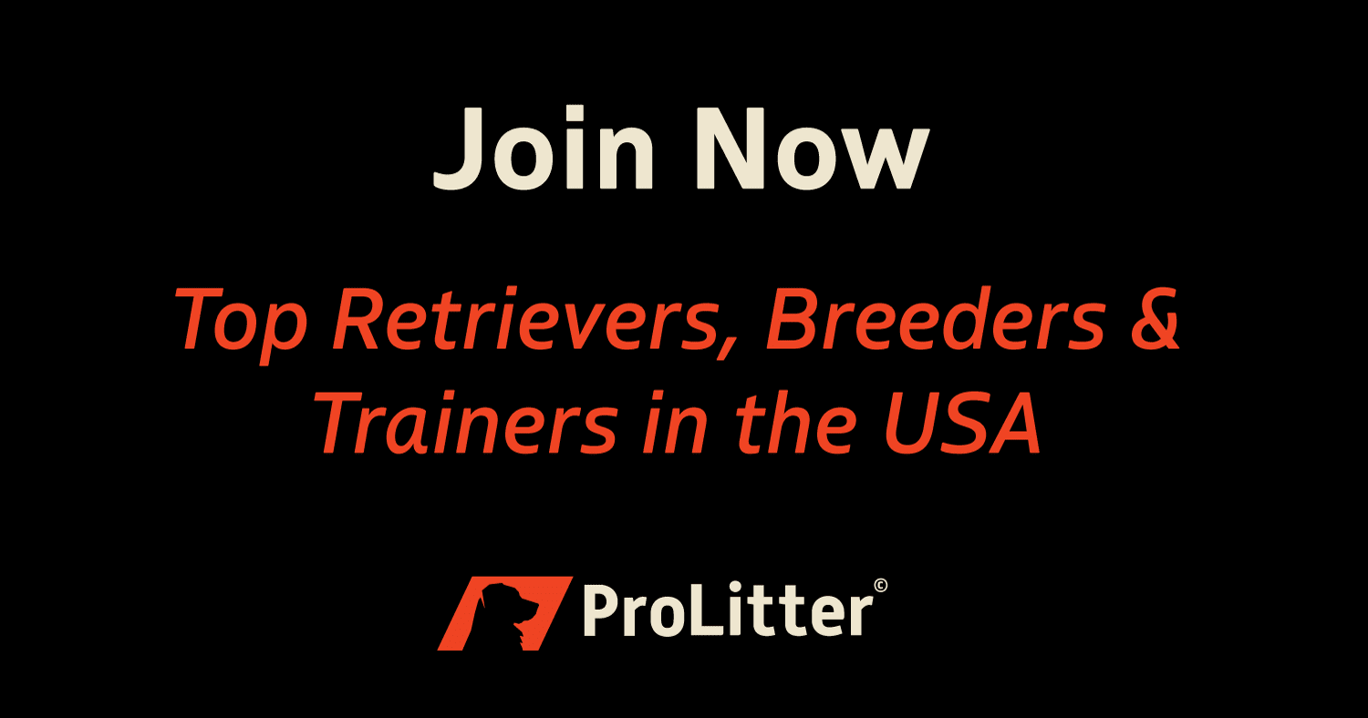 Plans & Pricing - ProLitter.com