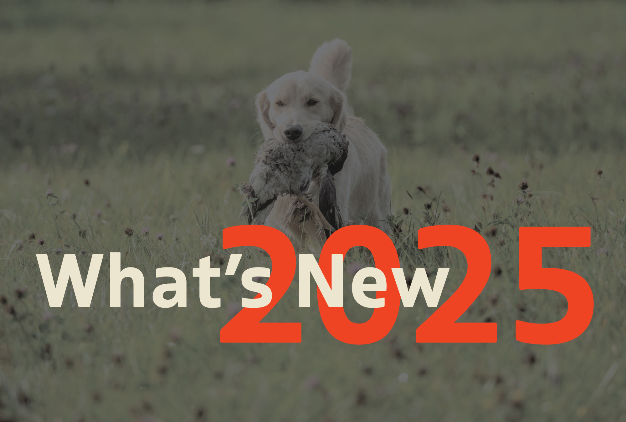 What's New for 2025 - ProLitter.com
