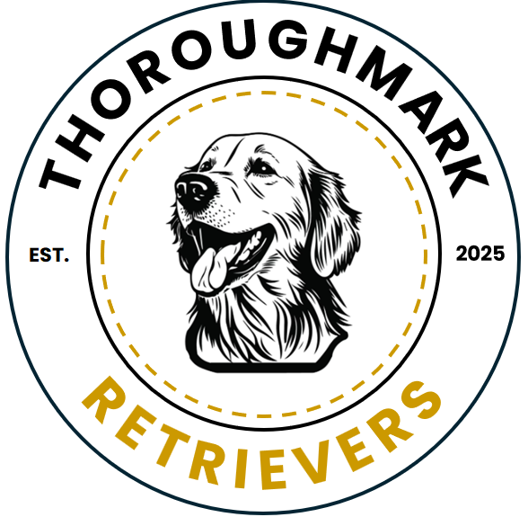 Thoroughmark Retrievers - Top retriever breeders in the USA